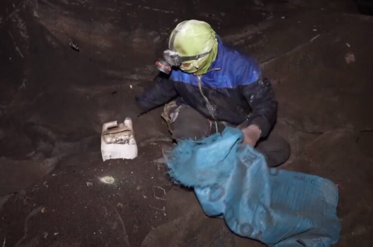 22 Most Disgusting Jobs Of All Time - Beyond the Ordinary