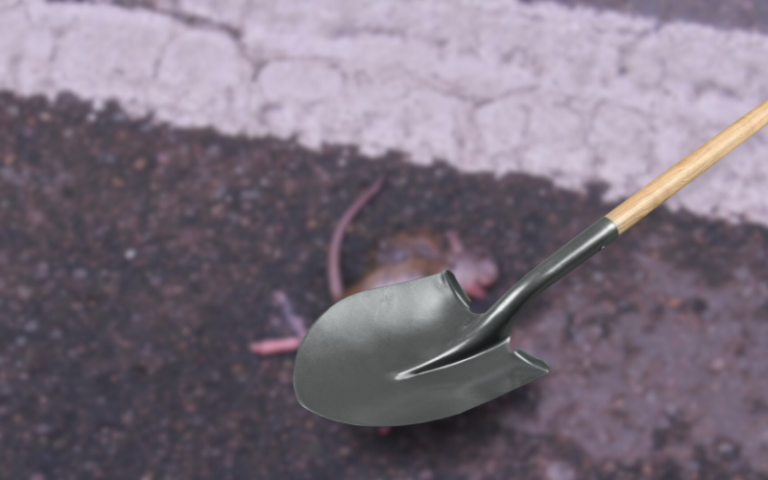 22 Most Disgusting Jobs Of All Time - Beyond the Ordinary